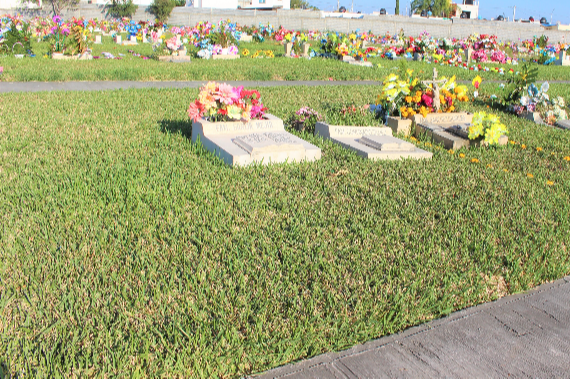Jardín de los Pinos | Parque Saltillo | Terreno Jardín